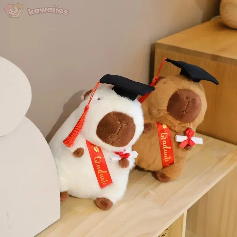 Capybara Graduation Plushies – Kawaiies