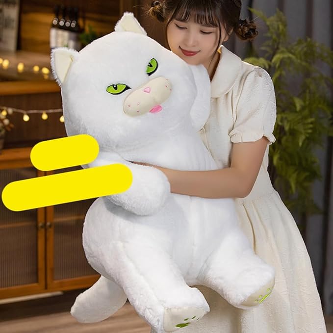 Poe the Grumpy Cat Plushie – Kawaiies