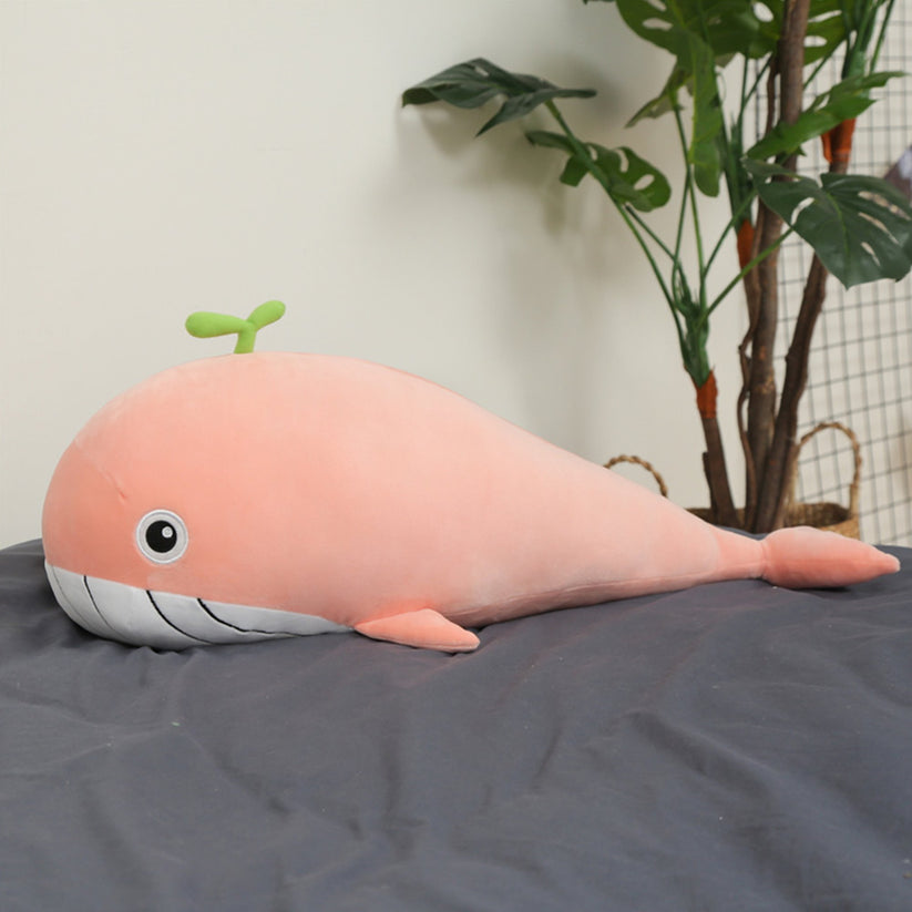 A Pod of Cuddly Whale Plushies – Kawaiies