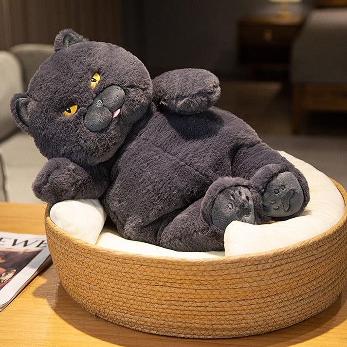 Poe the Grumpy Cat Plushie – Kawaiies